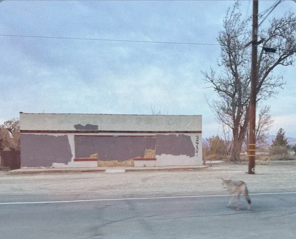 Levi Turner Delivers Remarkable New Single “Coyotes (Out In California ...