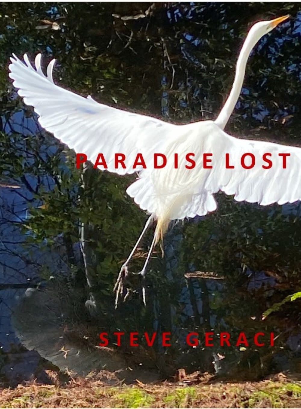 Steve Geraci Delivers A Classic Soulful Sound With A Modern Vibe , With ...